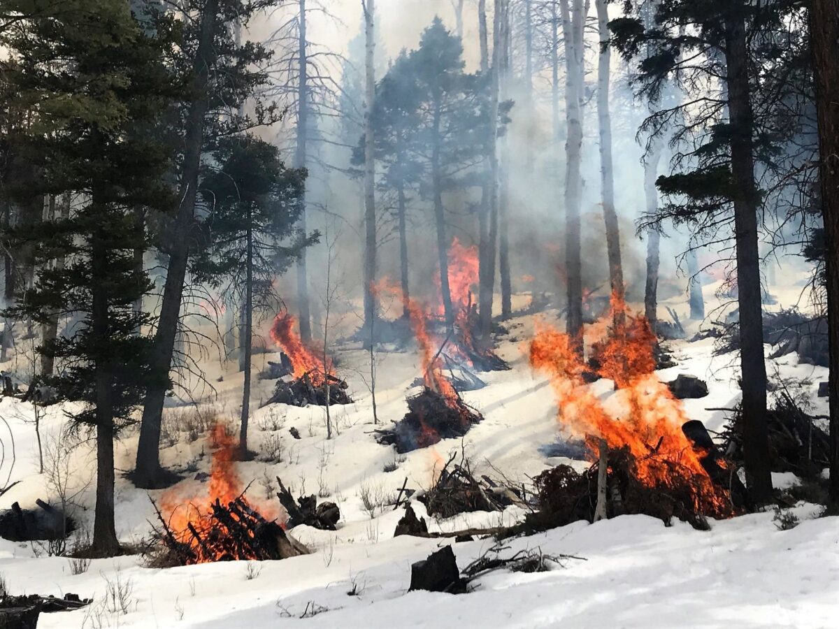 Ford Ridge prescribed burns planned this winter | News, Sports, Jobs ...